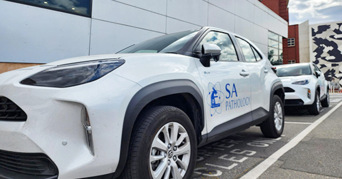 SA Pathology • Our Organisation