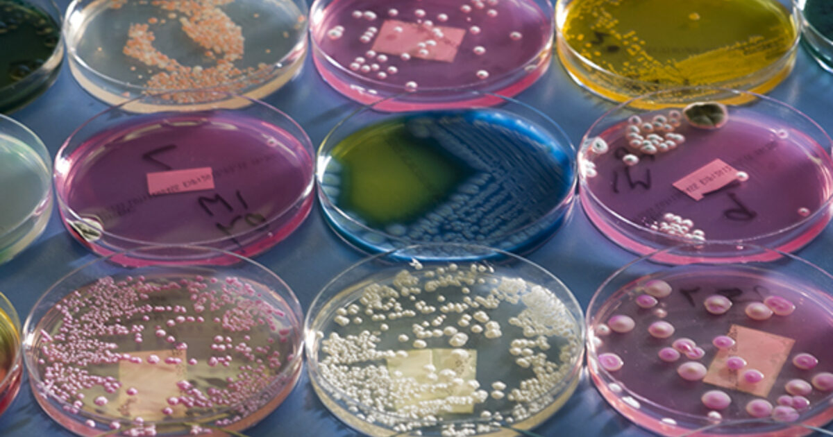 SA Pathology • Food and Environmental Laboratory